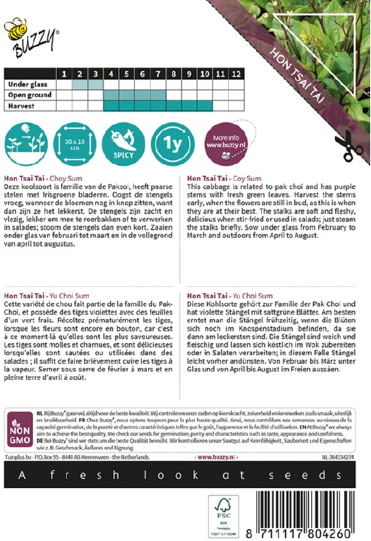 Choy Sum Hon Tsai Tai - Xotica Collection Tuincentrum Koeman