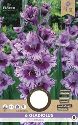 Gladiolen bollen kopen? Goedkope Gladiolen bollen bestellen bij