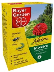 Rozen kopen? Goedkope Rozen bestellen bij