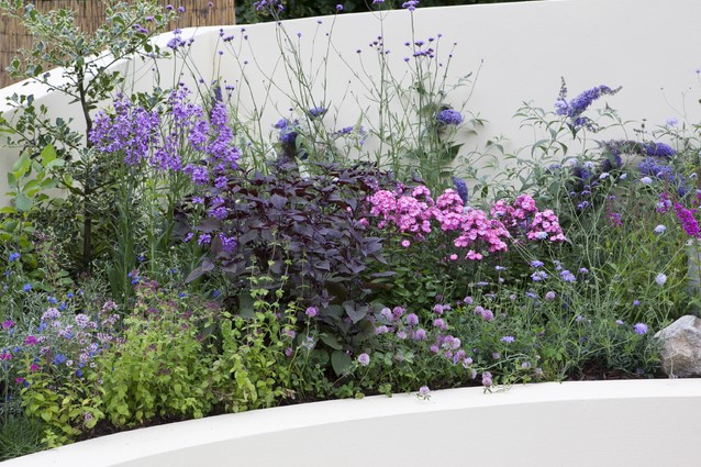 Tuinborder Vlinder en Bijen Modeste Herwig Tuincentrum Koeman