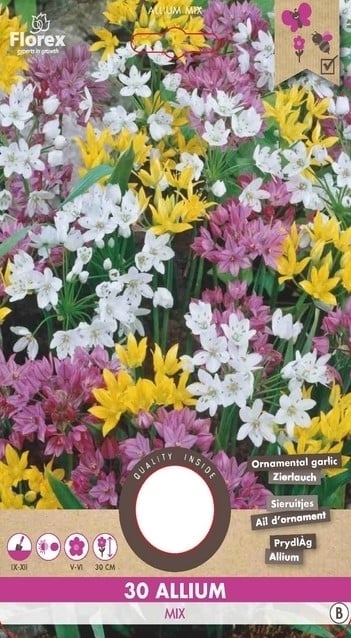 Alliums Mix Tuincentrum Koeman