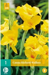 Planten kopen? Goedkope Planten bestellen