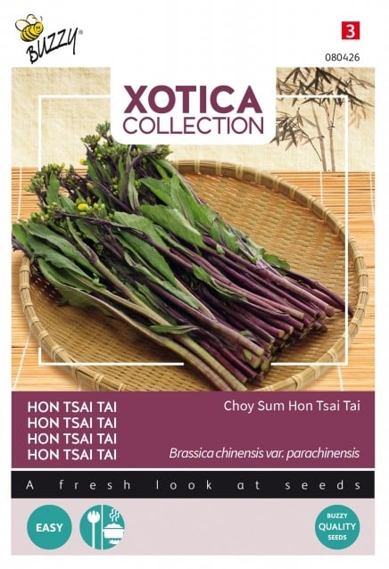 Choy Sum Hon Tsai Tai - Xotica Collection Tuincentrum Koeman