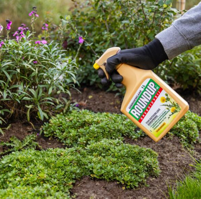 Roundup NS Natural 1 L. Gebruiksklaar Tuincentrum Koeman