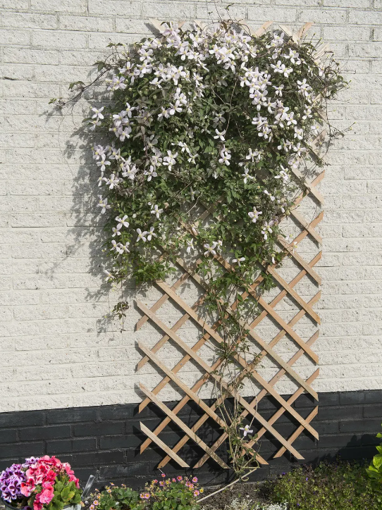 Houten Klimrek FSC Hout 50x150cm - Nature Tuincentrum Koeman